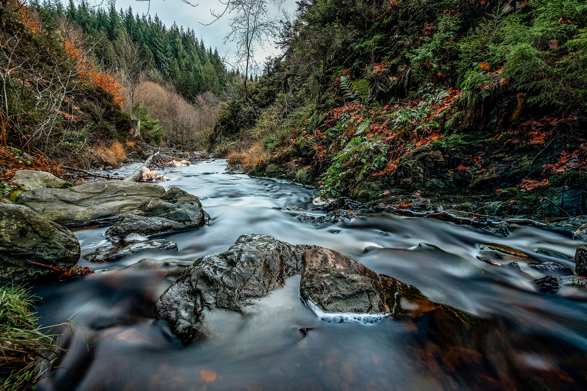 Lessons from the 2023 National Voter Poll on Water